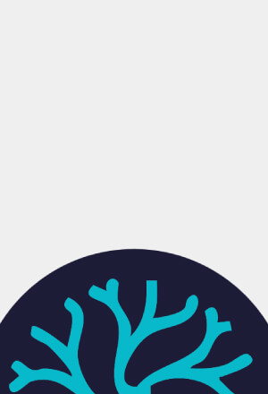 Dr. Suzanne Ferree, MD | LeaderPass